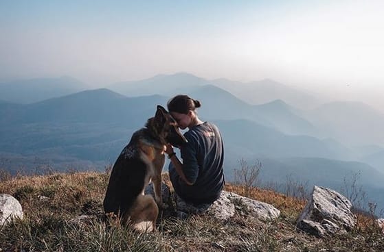 Top 140 Best Travel Dog Names For Your Cute Traveling Dogs