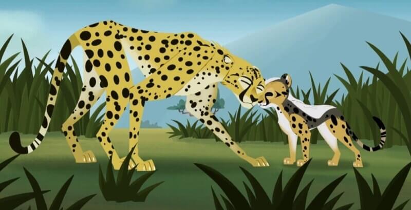 Cheetah Names: 180 Best & Famous Names for Cheetahs