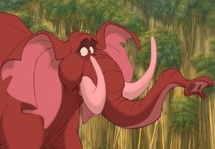 Elephant Names: 300 Best Names For Boy and Girl Elephants