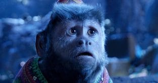 200+ Best Monkey Names that are Cute for Boy & Girl Monkeys