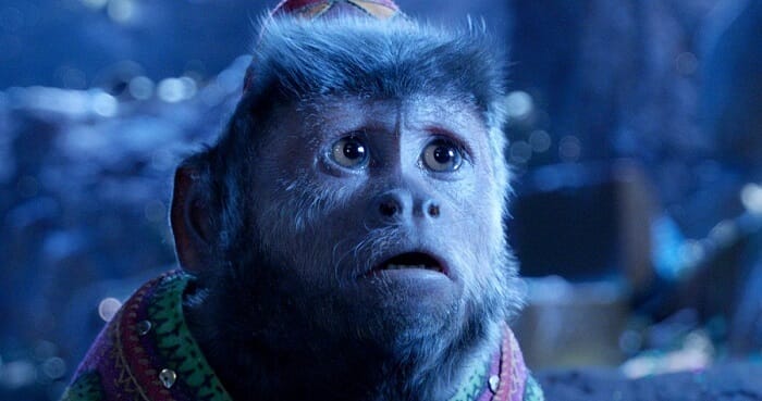 200+ Best Monkey Names that are Cute for Boy & Girl Monkeys