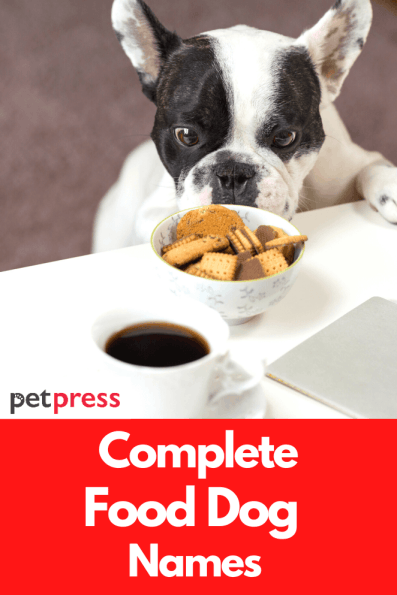 Top 155 Best Food Dog Names for Your Adorable Puppy