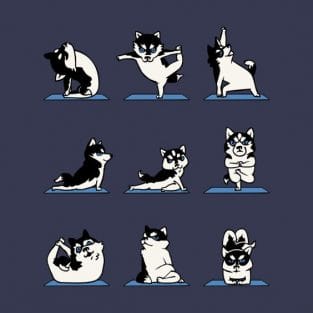 14 Husky Pictures To Brighten Your Day - PetPress