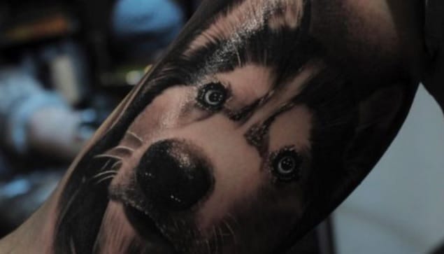 15 Best Husky Tattoo Ideas - PetPress
