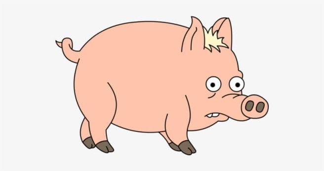 Pig Names: The 500 Most Popular Male and Female Pig Names