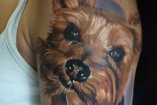 The 14 Coolest Yorkshire Terrier Tattoo Designs of 2019 - PetPress
