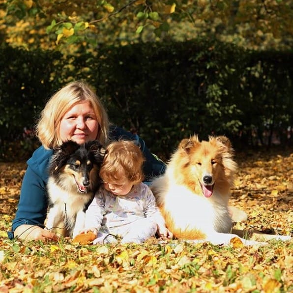 14 Tips For Choosing a Collie Puppy - Page 2 of 3 - PetPress