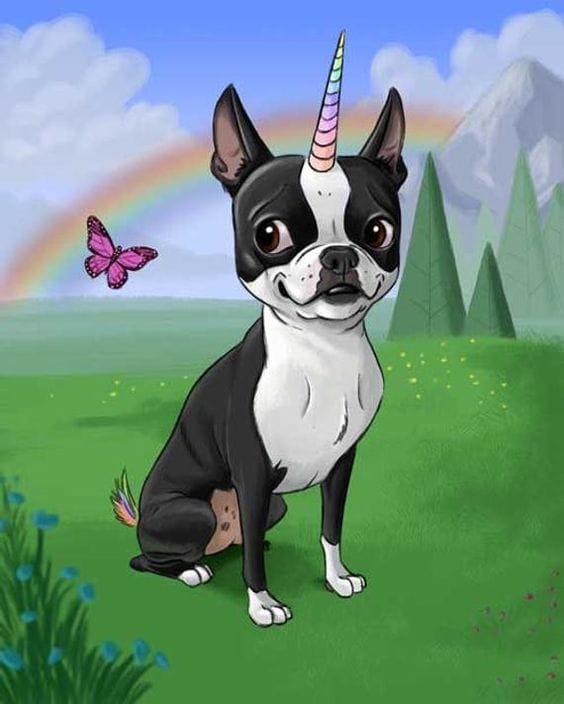 15 Funny Boston Terrier Pictures That Will Make You Love Them Even More ...