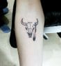 17 Buffalo Skull Tattoo Designs for Men & Women - PetPress
