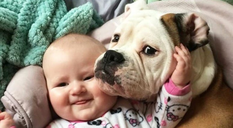 16 Cute Evidence You Should See That Every Child Needs a Dog