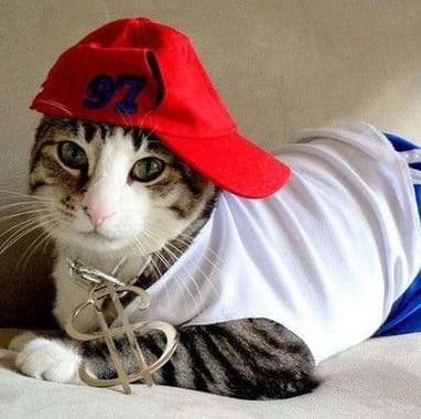 Over 100 Cool Cat Names Inspired by Rap and Hip-Hop - PetPress