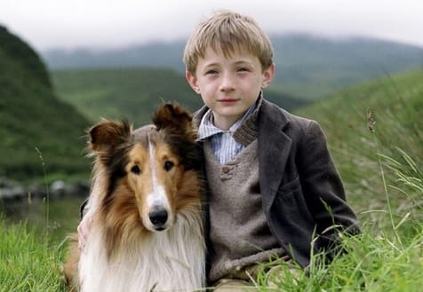 Top 100 Famous Girl Dog Names from Movies - PetPress