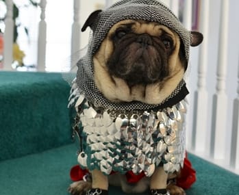 Top 101 Classic Medieval Dog Names - PetPress