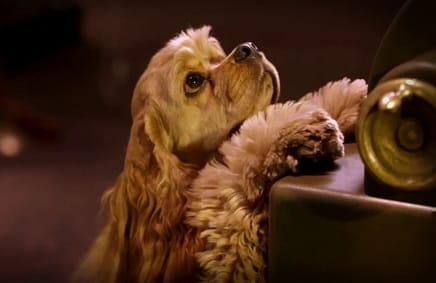 Top 100 Famous Girl Dog Names from Movies - PetPress