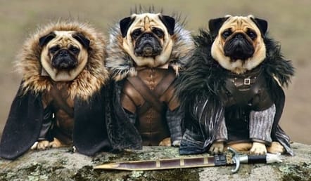 Top 101 Classic Medieval Dog Names - PetPress