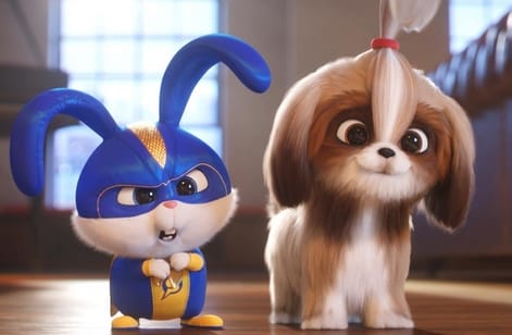24 Dog Names Inspired by Secret Life of Pets - PetPress