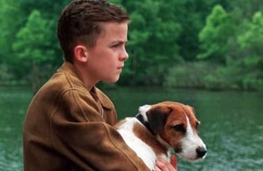 200 Best TV Inspired Dog Names For Your Cute Puppy - PetPress