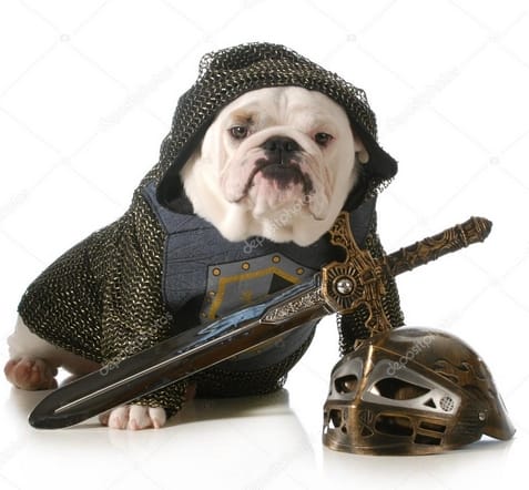 Top 101 Classic Medieval Dog Names - PetPress