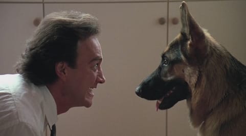 150 Trendy Movie Themed Dog Names for Boy Dogs - PetPress