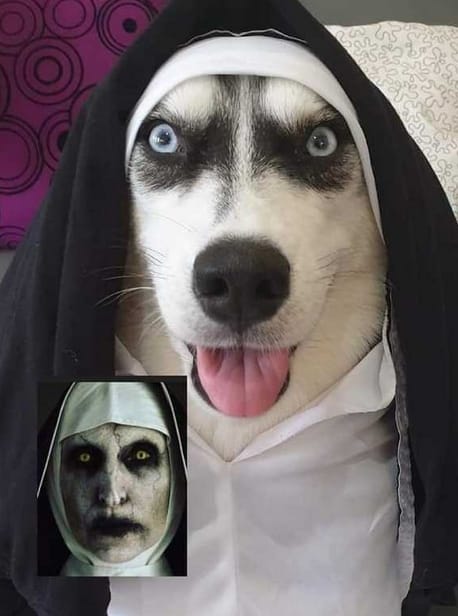 Over 100 Arcane Dog Names - PetPress