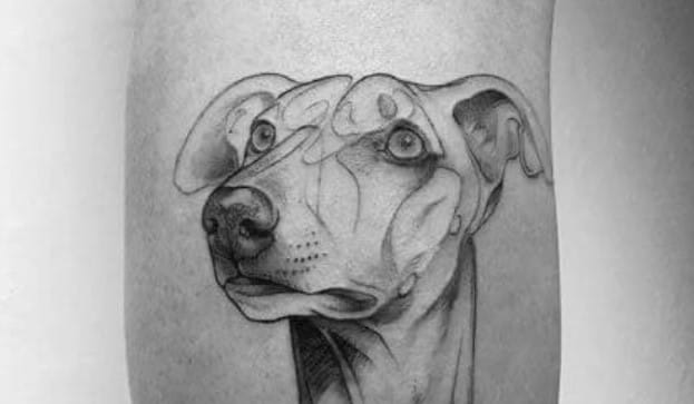 22 Greyhound Tattoo Ideas For Men and Women - PetPress