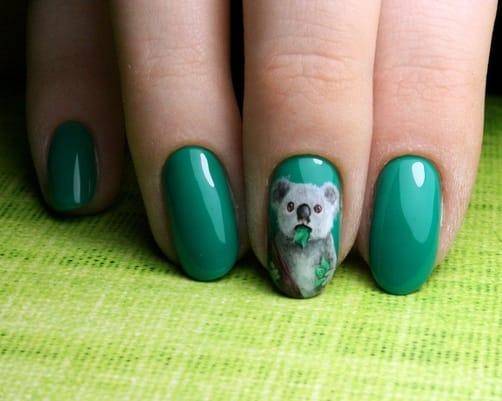 14 Impressive Koala Manicure Designs 2020 - PetPress