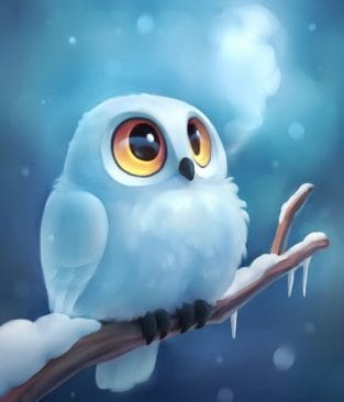 20 Funny Owl Pictures - Page 2 of 3 - PetPress