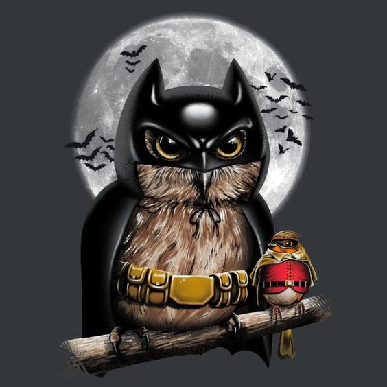 20 Funny Owl Pictures - PetPress