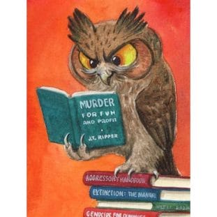 20 Funny Owl Pictures - PetPress