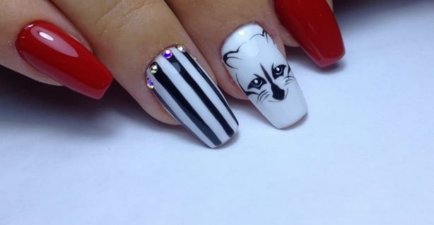16 Trendy Raccoon Nail Arts - PetPress