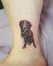 29 Labrador Retriever Tattoo Ideas and Designs – For Men And Women ...