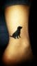 29 Labrador Retriever Tattoo Ideas and Designs – For Men And Women ...