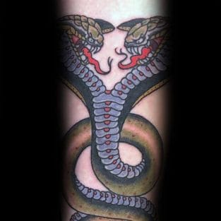 20 of the Best Two-Headed Snake Tattoos Ever - PetPress