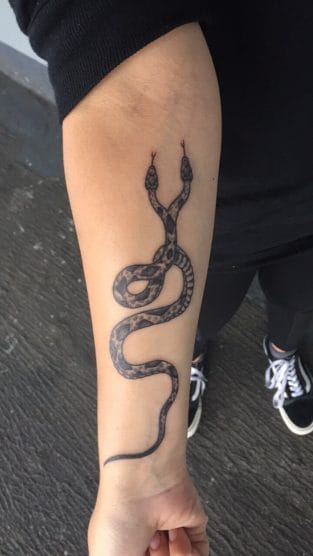 20 of the Best Two-Headed Snake Tattoos Ever - PetPress