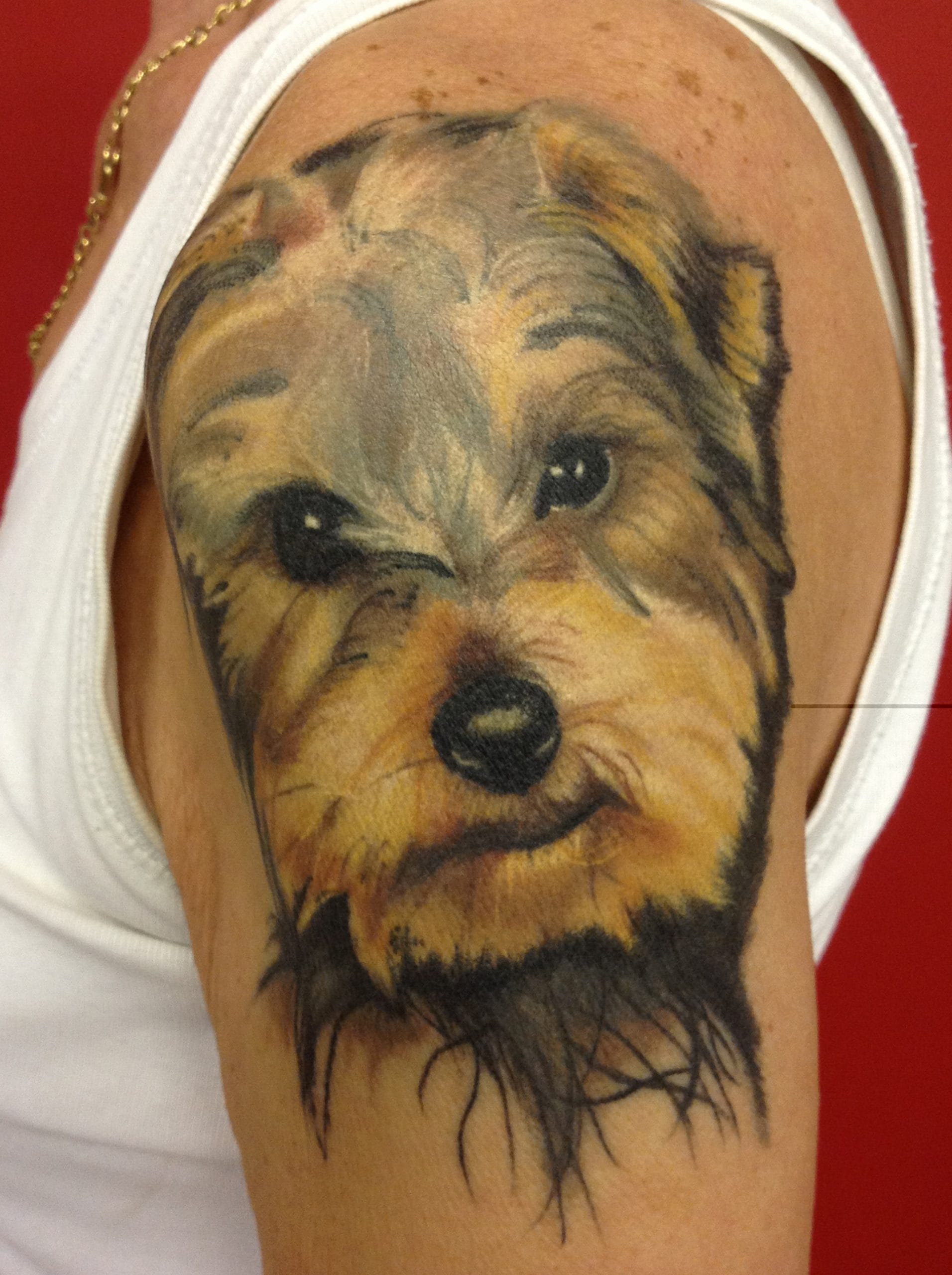 15 Of The Best Yorkshire Terrier Tattoo Ideas Ever - PetPress