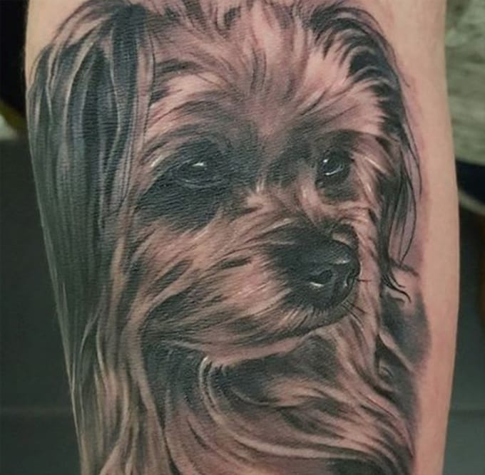 15 Of The Best Yorkshire Terrier Tattoo Ideas Ever - PetPress