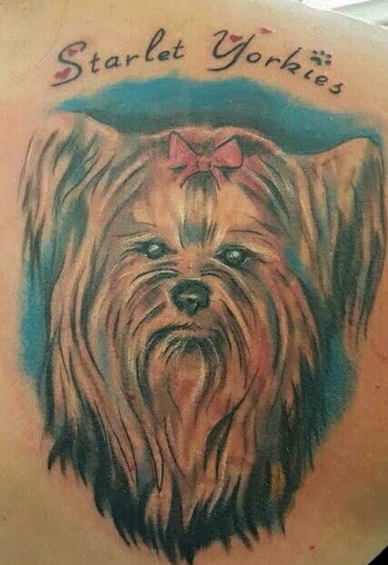 15 Of The Best Yorkshire Terrier Tattoo Ideas Ever - PetPress
