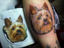 15 Of The Best Yorkshire Terrier Tattoo Ideas Ever - PetPress