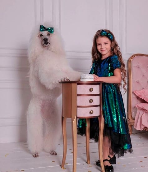 TOP 15 Best Dog Breeds For Women - PetPress