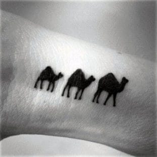 19 Best Camel Tattoo Ideas & Designs - PetPress