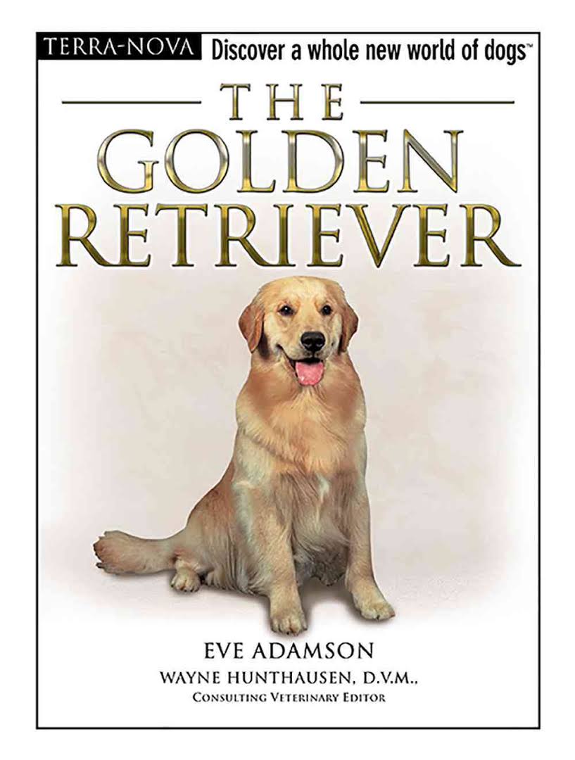 15 Best Books For Golden Retriever Lovers - PetPress