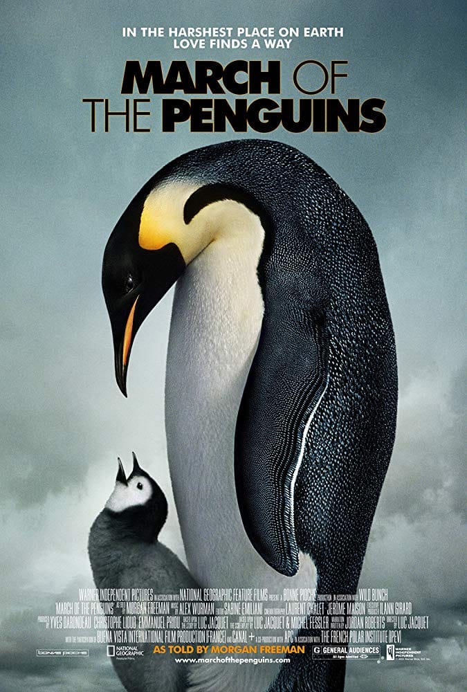 15 Films About Penguins - PetPress