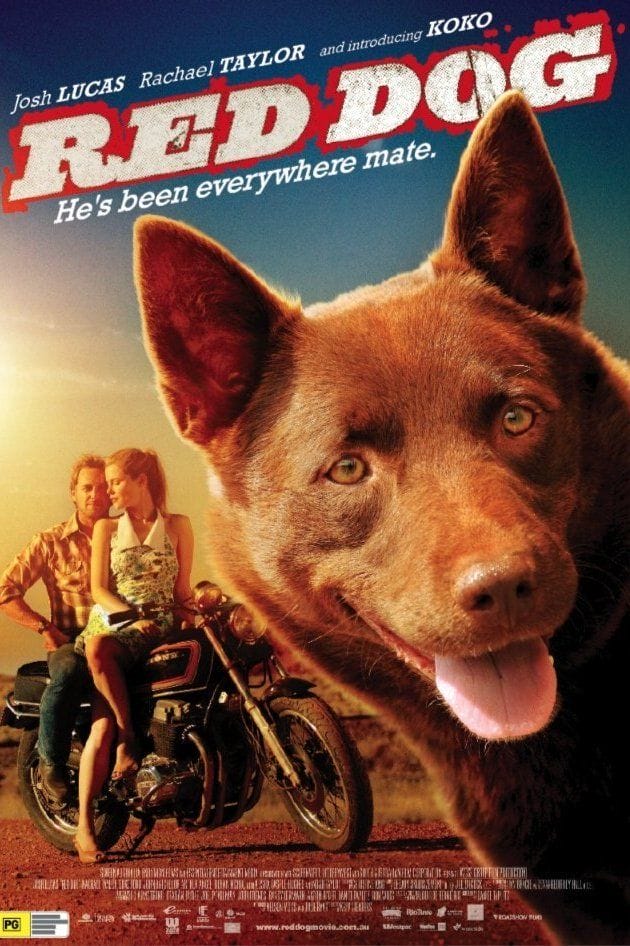 TOP 10 Best Dog Films - PetPress