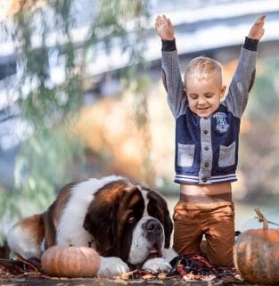 Top 10 Search & Rescue Dogs That You Should Know