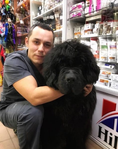 Top 15 Best Dog Breeds For Men - PetPress