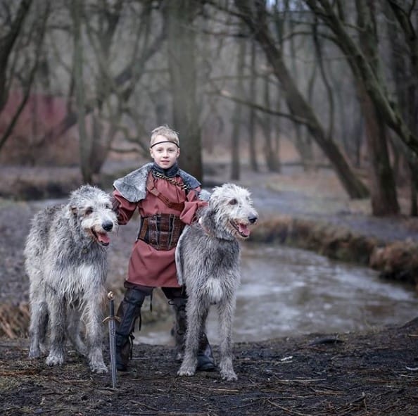 Top 15 Best Dog Breeds For Men - Page 2 of 3 - PetPress