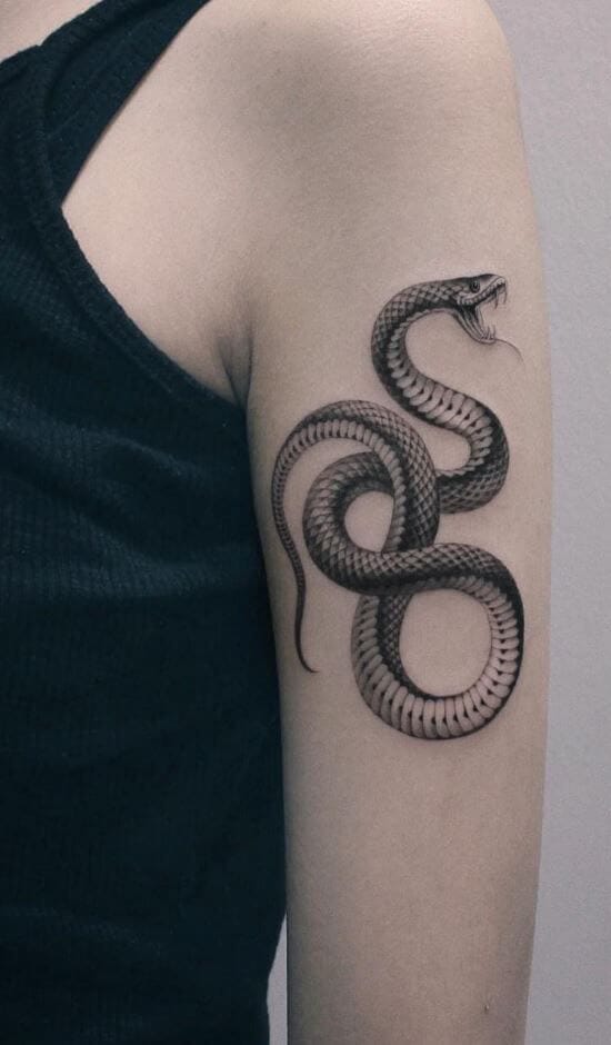 20+ Simple Snake Tattoo Ideas - PetPress