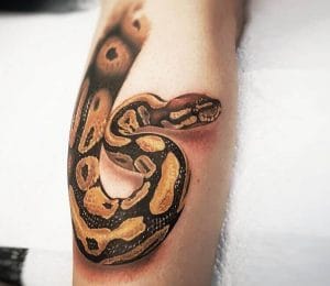 16 Best Python Tattoo Design Ideas - PetPress