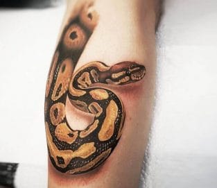 16 Best Python Tattoo Design Ideas - PetPress