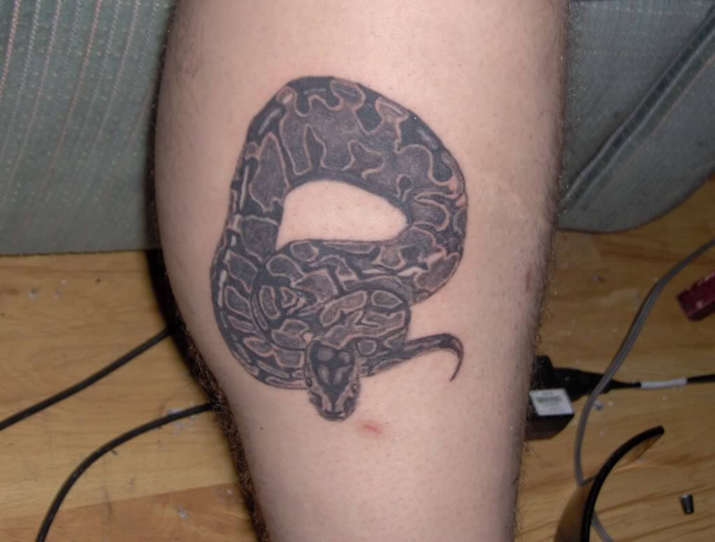 16 Best Python Tattoo Design Ideas - PetPress